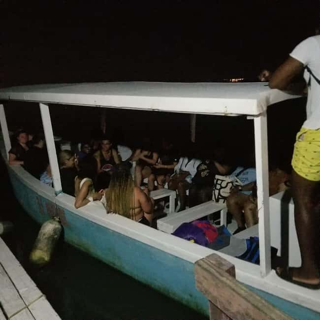From Montego Bay: Luminous Lagoon Boat Tour with Transfer - The Bottom Line: Who Will Love This Tour?