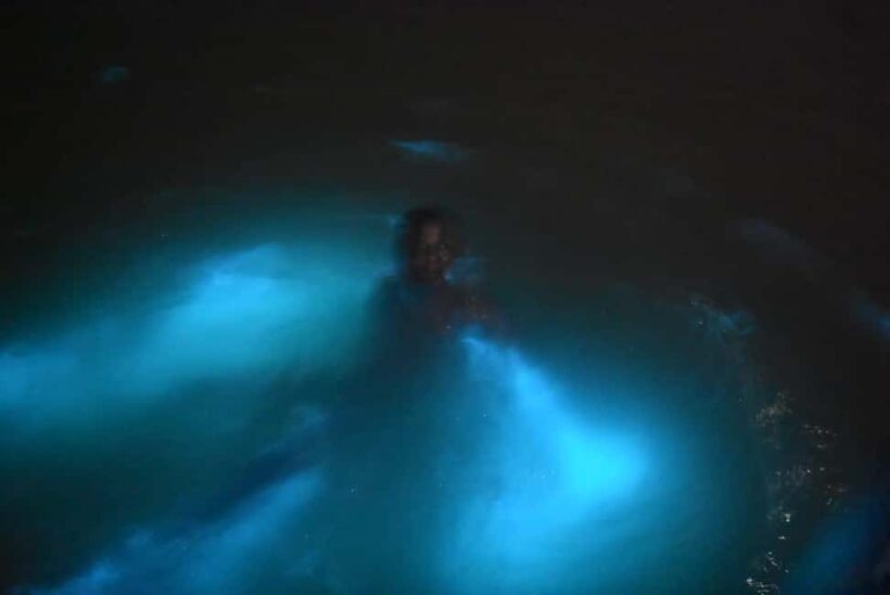 From Montego Bay: Luminous Lagoon Night Tour - Key Points