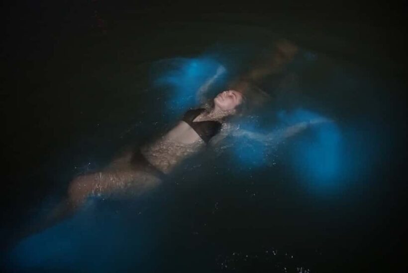 From Montego Bay: Luminous Lagoon Nighttime Boat Tour - Starting Point: Pickup in Montego Bay