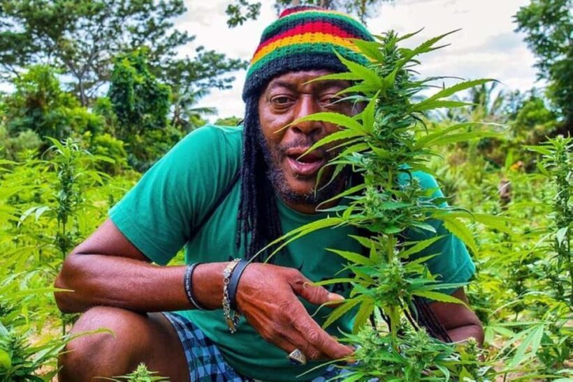 From Montego Bay/Negril: Rasta Safari UTV Experience - FAQ