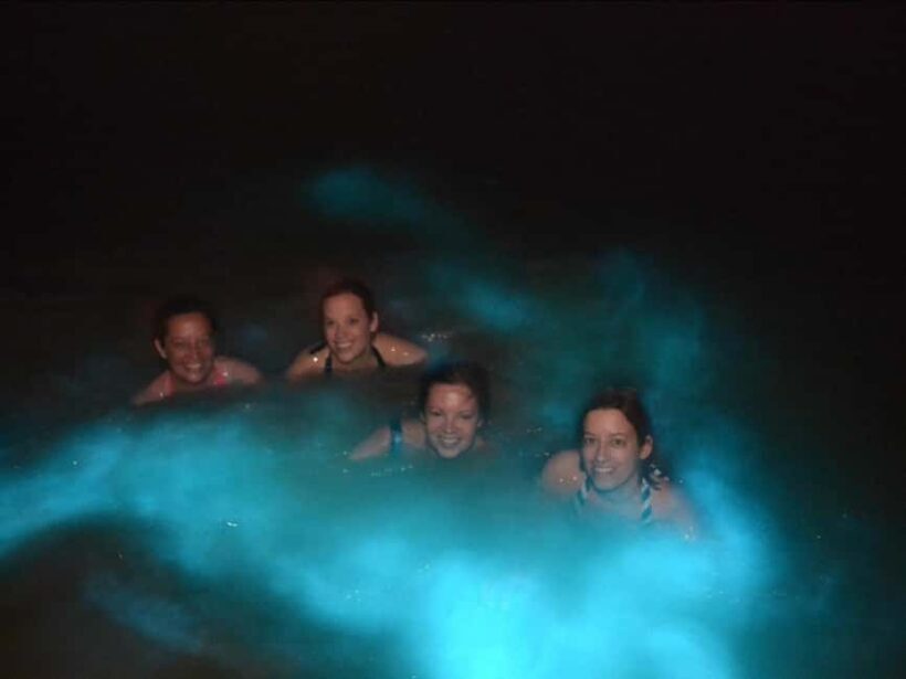 From Montego Bay: Private Falmouth Mystic Lagoon night tour - Key Points for Your Trip