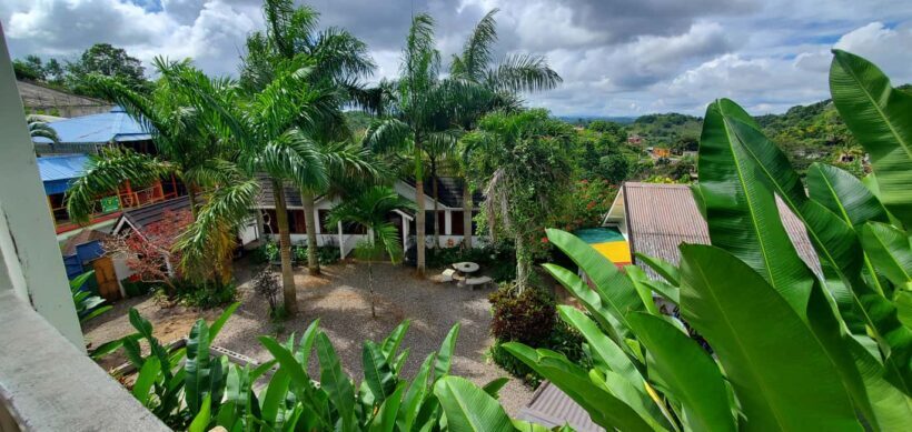 From Montego Bay: The Bob Marley Guided Tour of Nine Mile - Final Thoughts