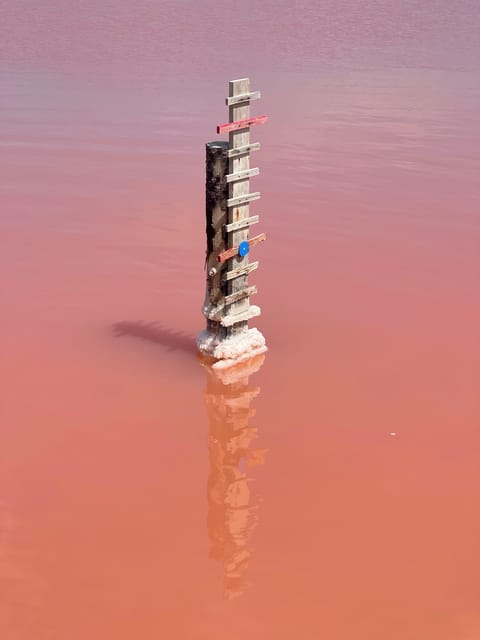 From Montpellier: Camargue and Salt Marshes Guided Tour - Key Points