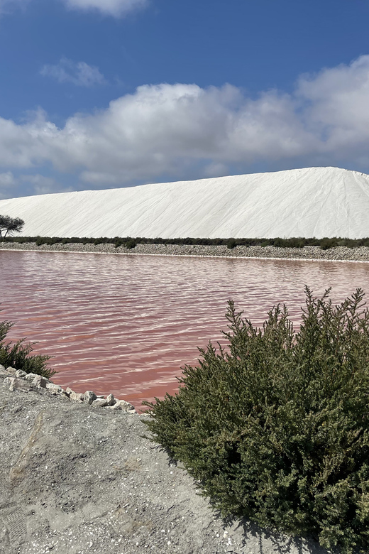 From Montpellier: Camargue and Salt Marshes Guided Tour - The Sum Up