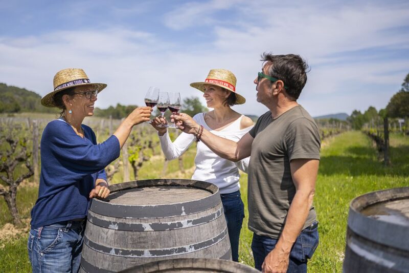 From Montpellier: Half-Day Vineyard & Pic Saint-Loup Tour - Visiting the Vineyards