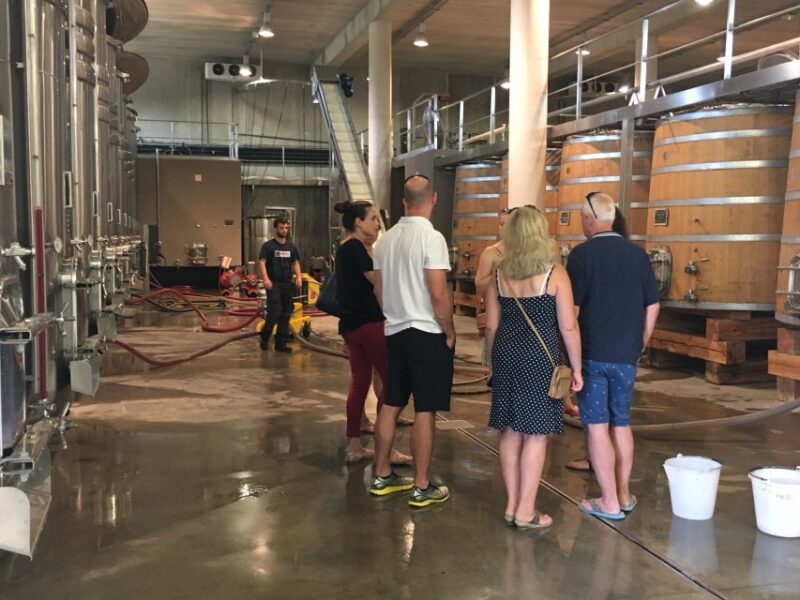 From Montpellier: Half-Day Vineyard & Pic Saint-Loup Tour - Tasting and Learning