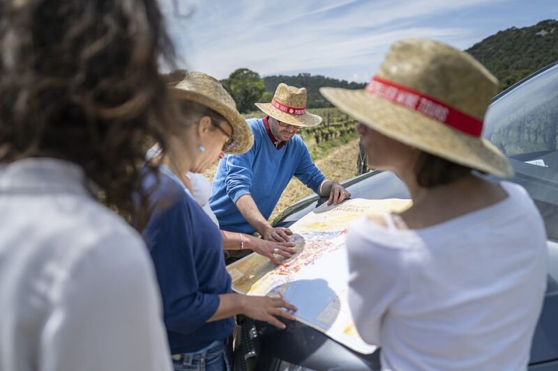 From Montpellier: Half-Day Vineyard & Pic Saint-Loup Tour - Pic Saint-Loup: The Iconic Landmark