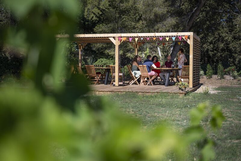 From Montpellier: Winery Tour in a Vintage Citroën 2CV - Analyzing the Value