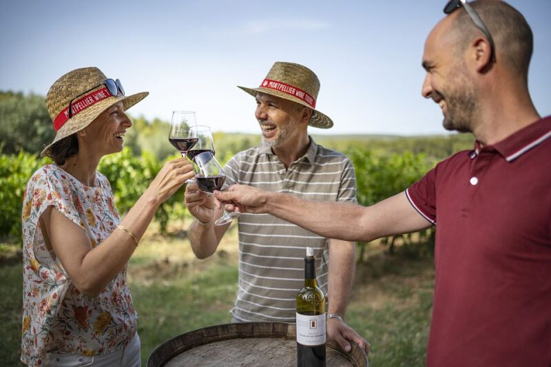 From Montpellier: Winery Tour in a Vintage Citroën 2CV - Who Would Love This Tour?