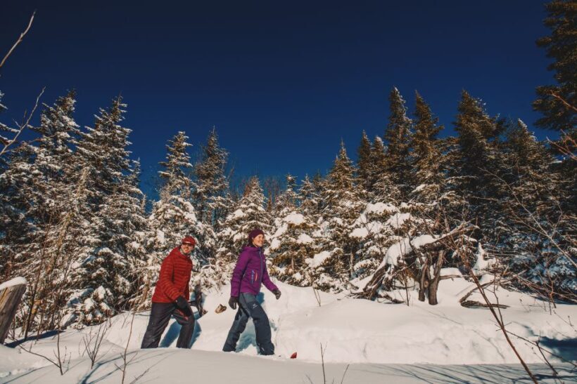 From Montreal: Mont-Tremblant National Park Hiking Day Trip - The Value of This Trip