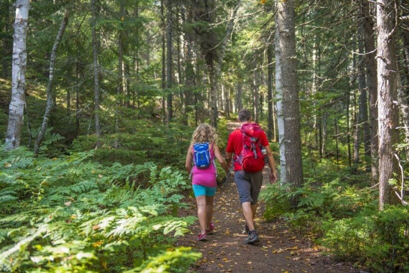 From Montreal: Mont-Tremblant National Park Hiking Day Trip - FAQ