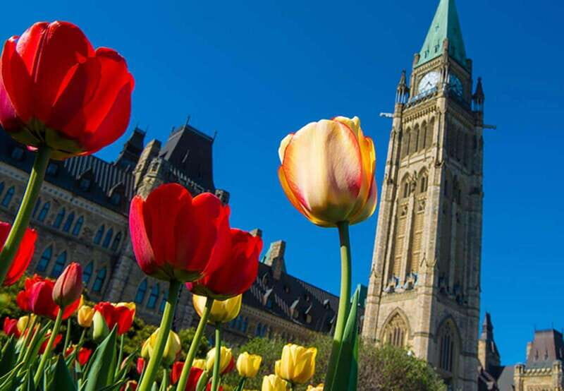 From Montreal: Private Ottawa Full Day Tour - Final Thoughts