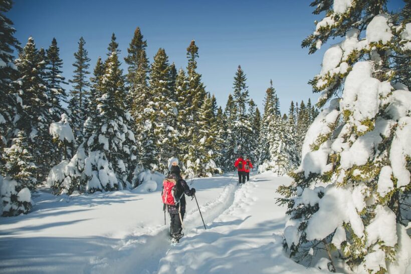 From Montreal: Sept-Chutes Regional Park Hike and Swim - Who Will Love This Tour?