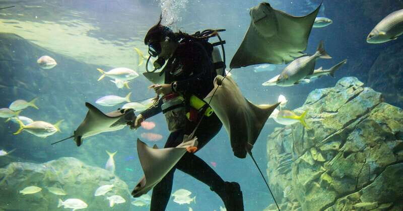 From Montreal: Toronto, Niagara Falls & 1000 Islands Tour - FAQs