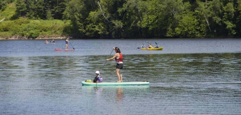 From Montreal: Treetop Trek, Ziplines + beach or waterfall. - Why Choose This Tour?