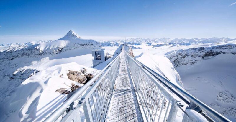 From Montreux: Glacier 3000 Day Trip - Included Services