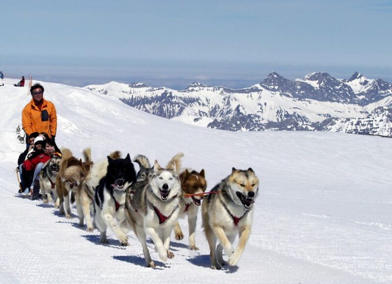 From Montreux: Glacier 3000 Day Trip - Customer Reviews and Ratings