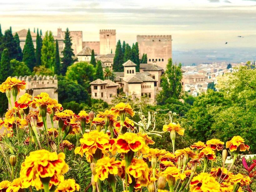 From Motril: Full-Day Private Tour of Alhambra - Who Should Consider This Tour?