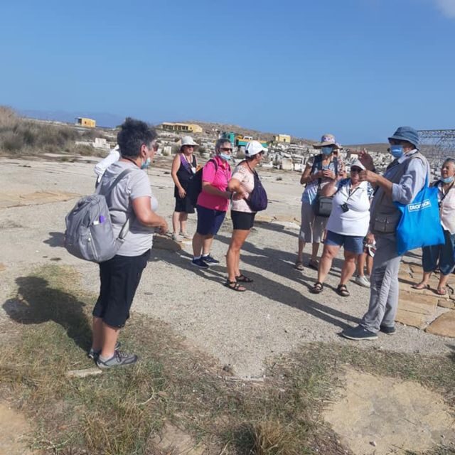 From Mykonos: Ancient Delos Tour - The Sum Up