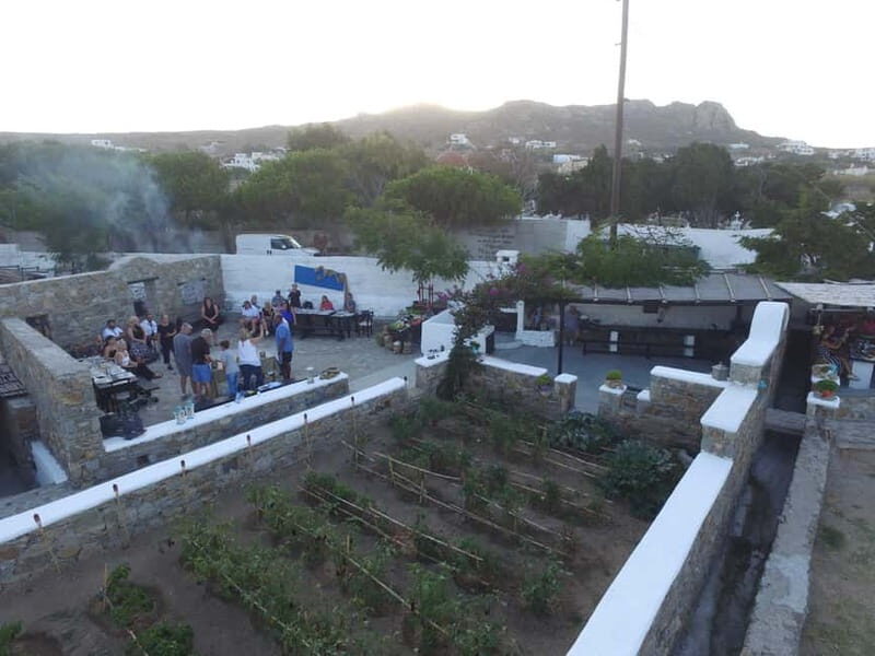 From Mykonos: Ano Mera Farm Tour - Final Thoughts