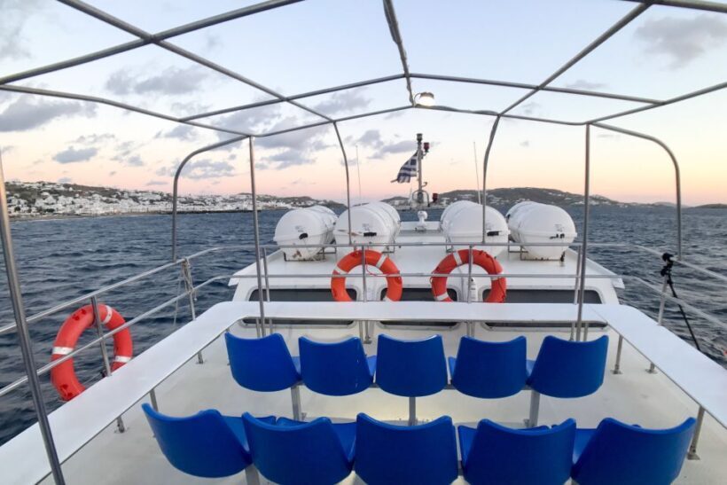 From Mykonos Port: Delos Guided Tour - What is this tour all about?