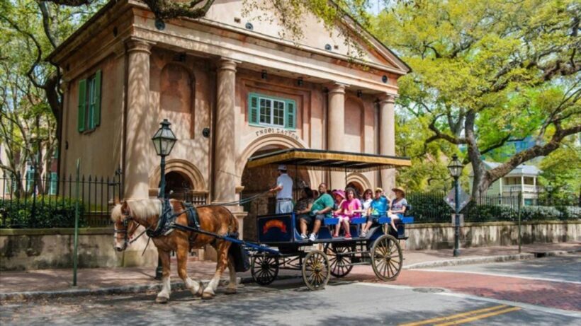 From Myrtle Beach: Charleston Day Trip, Boone Hall & Cruise - An Introduction to the Tour