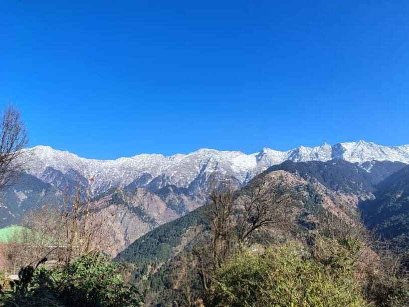 From Naddi: Guided Himalayan Nomad Culture & Nature Walk - An Authentic Himalayan Village Walk