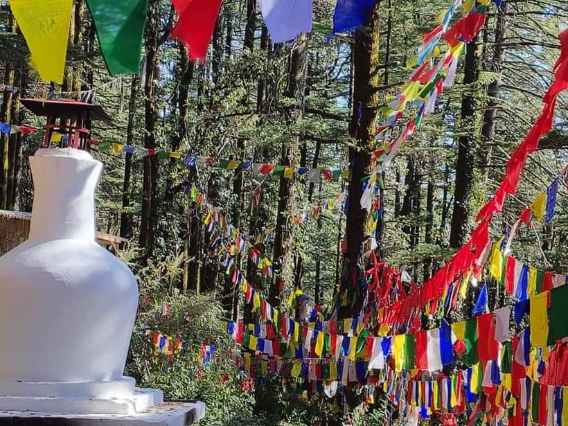 From Naddi: Guided Himalayan Nomad Culture & Nature Walk - FAQs