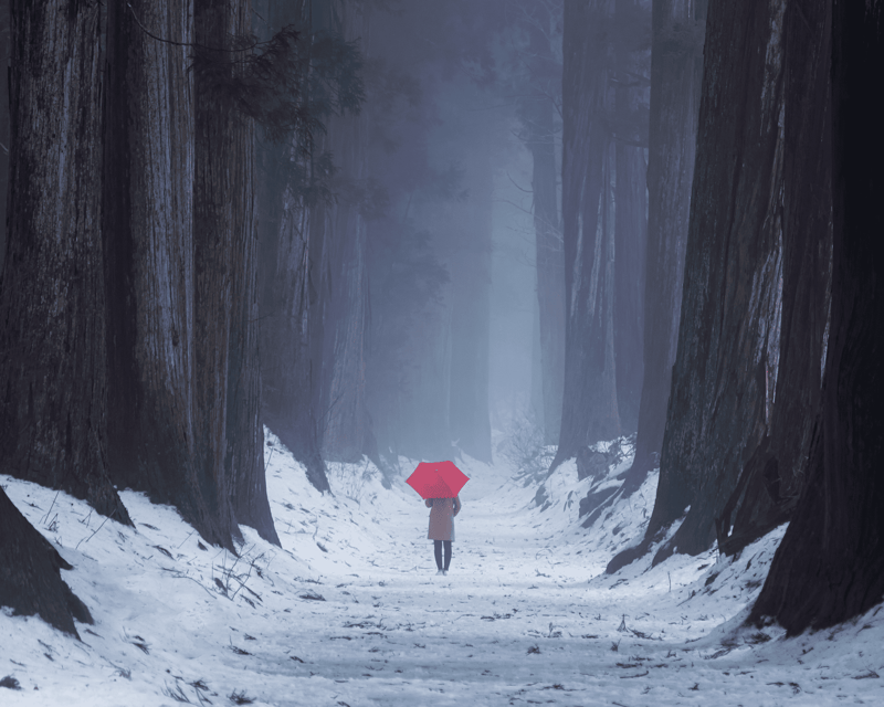 From Nagano/Myoko: Private Tour of Togakushi Shrine - Key Points