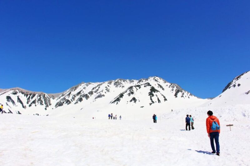 From Nagano: Tateyama-Kurobe Alpine Route - Navigating the Tateyama-Kurobe Alpine Route