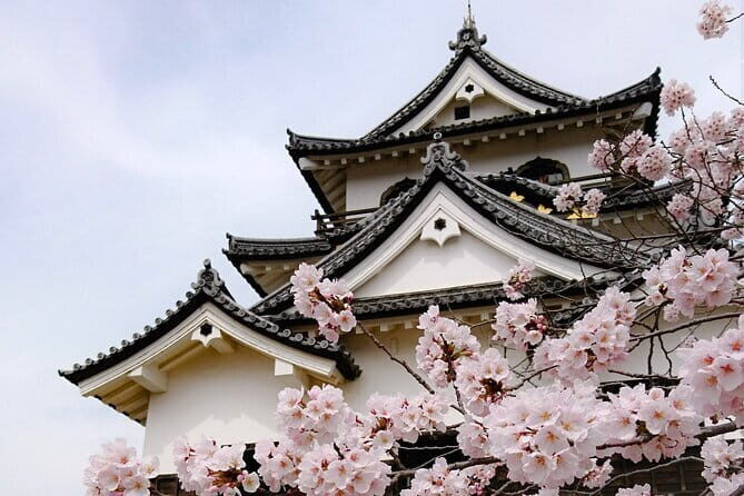 From Nagoya: Castles and Canals in Hikone and Omi Hachiman - An Overview of the Itinerary