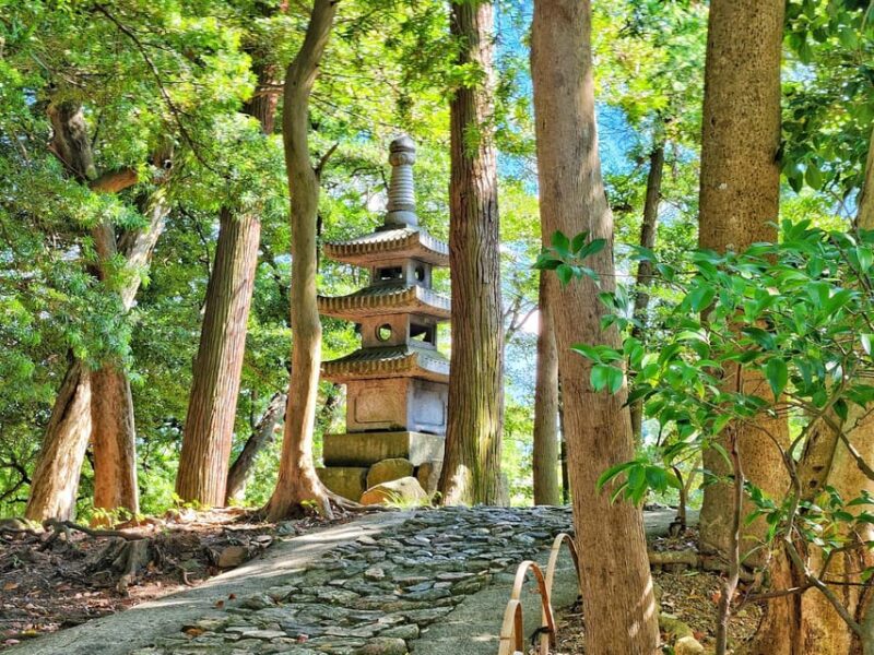 From Nagoya: Castles and Canals in Hikone and Omi Hachiman - Itinerary and Transportation