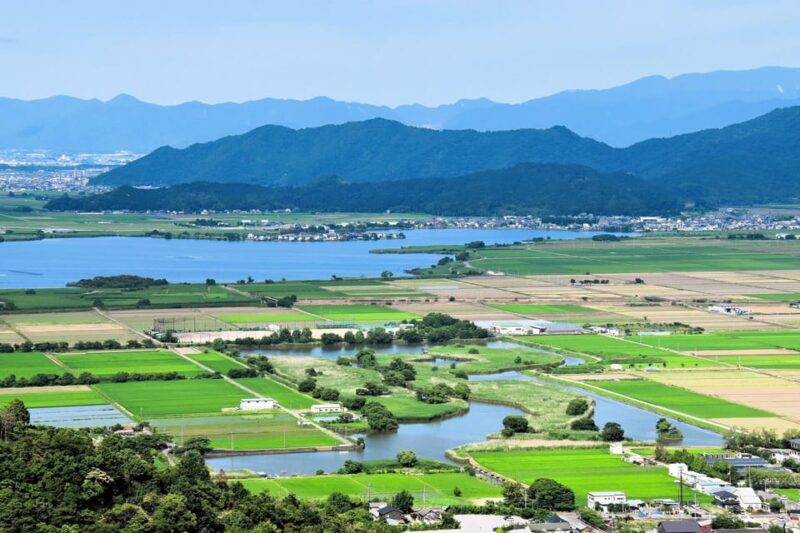 From Nagoya: Castles and Canals in Hikone and Omi Hachiman - Guided Tour of Hikone Castle