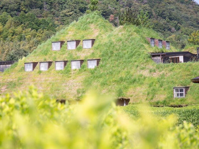 From Nagoya: Castles and Canals in Hikone and Omi Hachiman - Lunch and Break at Yume Kyōbashi Castle Road