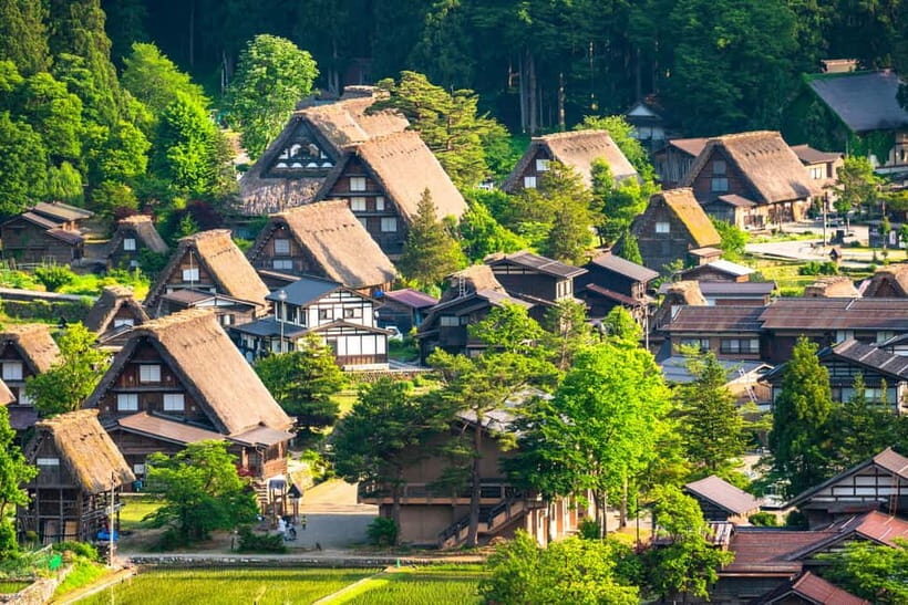 From Nagoya: Gujo, Hida Takayama, and Shirakawa-go Day Tour - Real Travelers’ Feedback