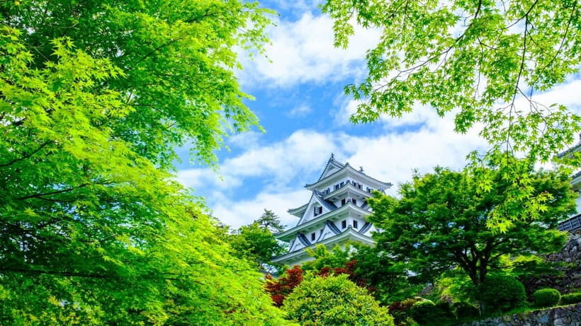 From Nagoya: Gujo, Hida Takayama, and Shirakawa-go Day Tour - Who Will Love This Tour?