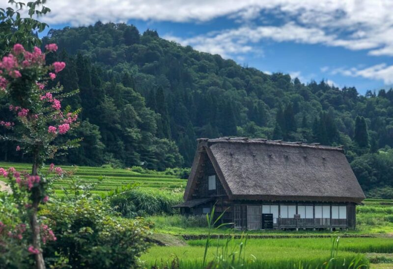 From Nagoya: Hida Takayama and World Heritage Shirakawa-go - Experience Details