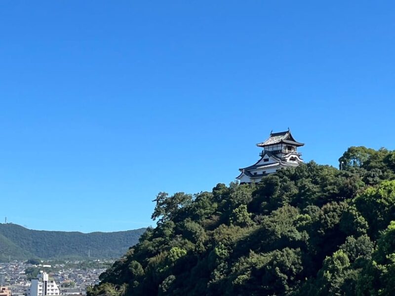 From Nagoya: Inuyama Castle, Ena Gorge, Magome, Tsumago Tour - Inuyama Castle: Unique Architecture and History