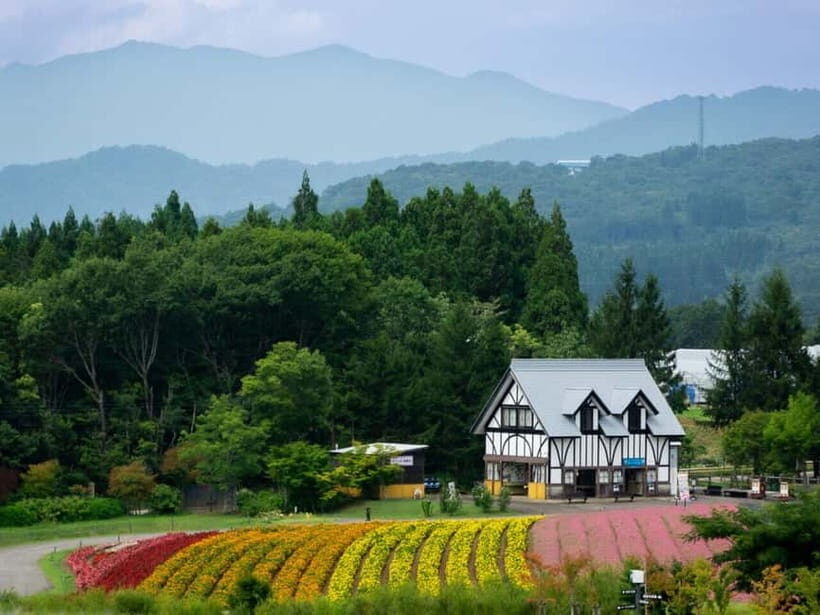 From Nagoya: Kamikochi and Enchanting Landscapes Day Tour - Final Thoughts