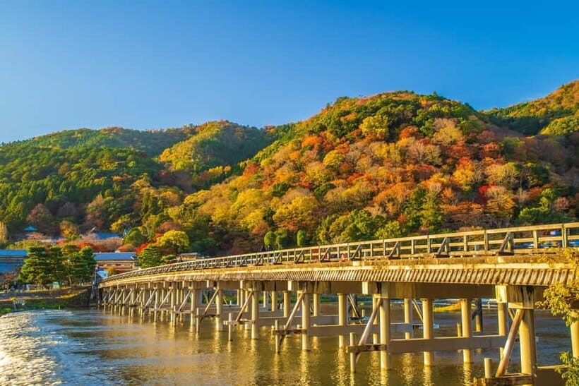 From Nagoya: Kyoto Day Tour with Kobe Beef Shabu-Shabu Lunch - Key Points
