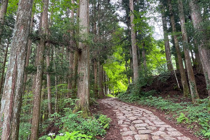 From Nagoya: Nakasendo Trail With Cultural Experience & Transport - Health and Accessibility