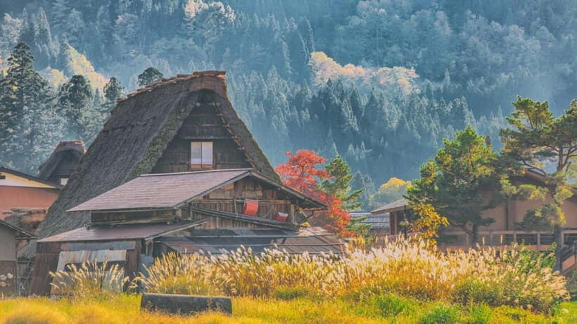 From Nagoya: Shirakawa-go UNESCO Village Day Trip w/ Pickup - The Overall Value and Who Will Love This Tour