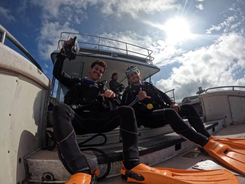 From Naha Scuba Diving Trip in Kerama(For Certified Divers) - Diving in Kerama National Park