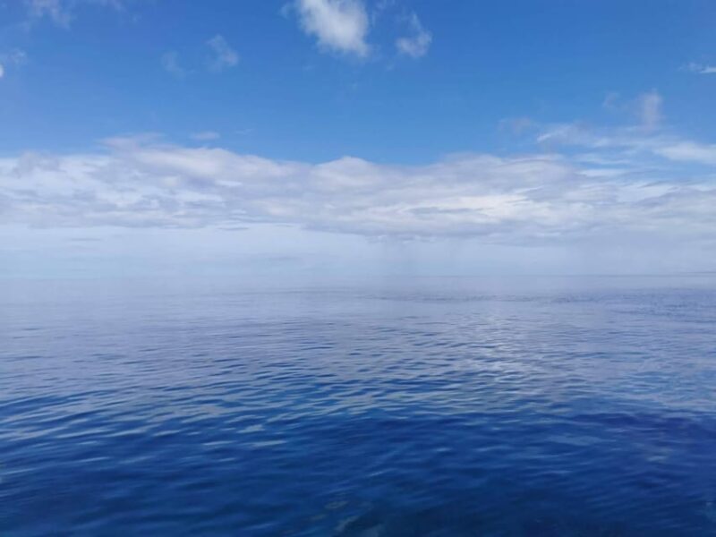 From Naha Scuba Diving Trip in Kerama(For Certified Divers) - Experienced Dive Guides