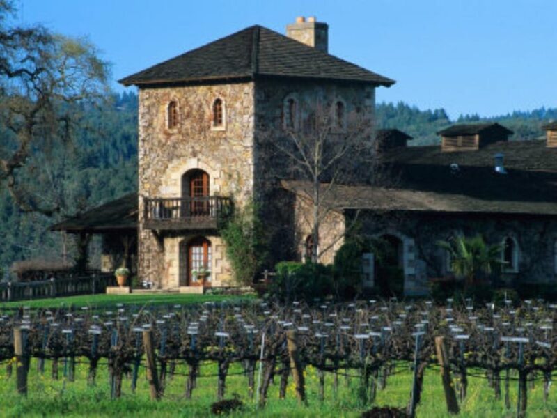 From Napa: Sonoma Private Wine Tour with Tastings - Key Points