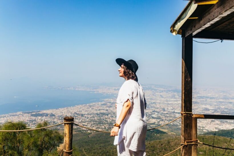 From Naples: All-Inclusive Mount Vesuvius Half-Day Tour - Key Points