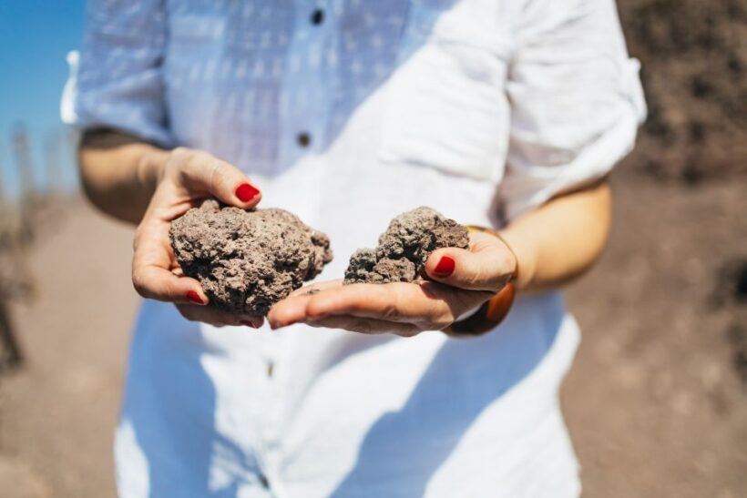 From Naples: All-Inclusive Mount Vesuvius Half-Day Tour - FAQ