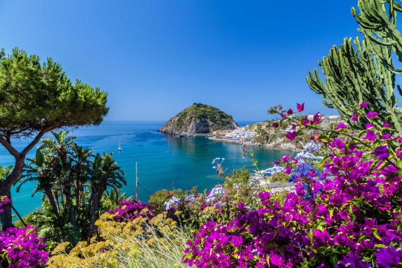 From Naples: Amalfi Coast Day Trip with Sorrento & Positano - Key Points