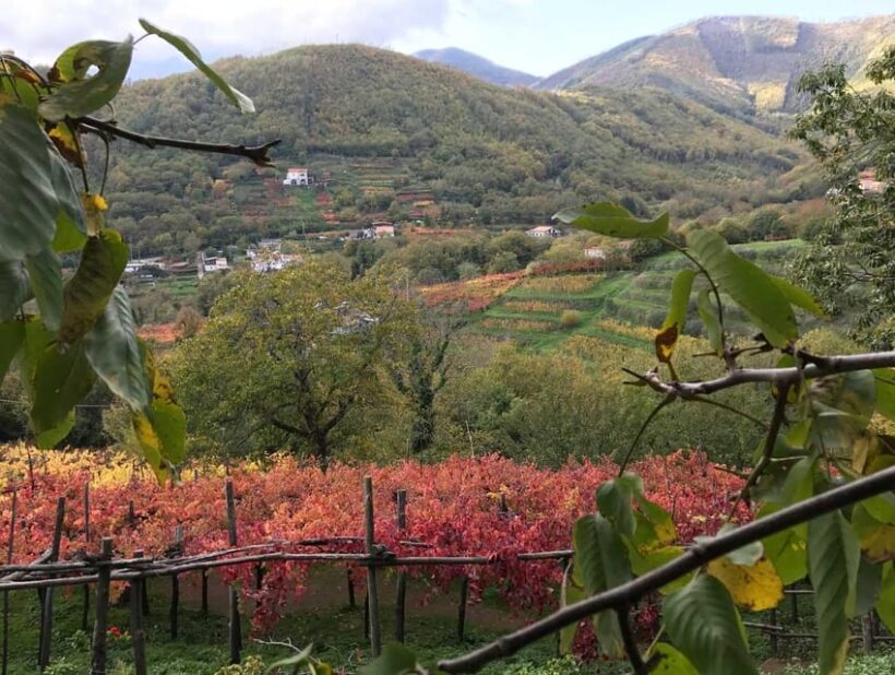From Naples: Amalfi Coast Tour and Wine Tasting with Lunch - FAQ