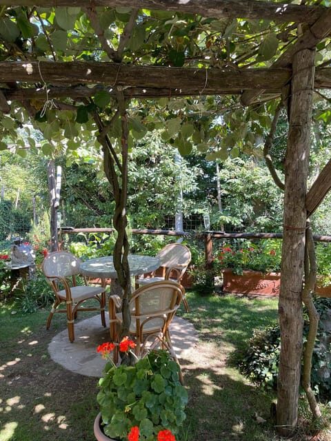 From Naples: Amalfi Coast Tour & Cooking Class with Transfer - The Itinerary in Detail